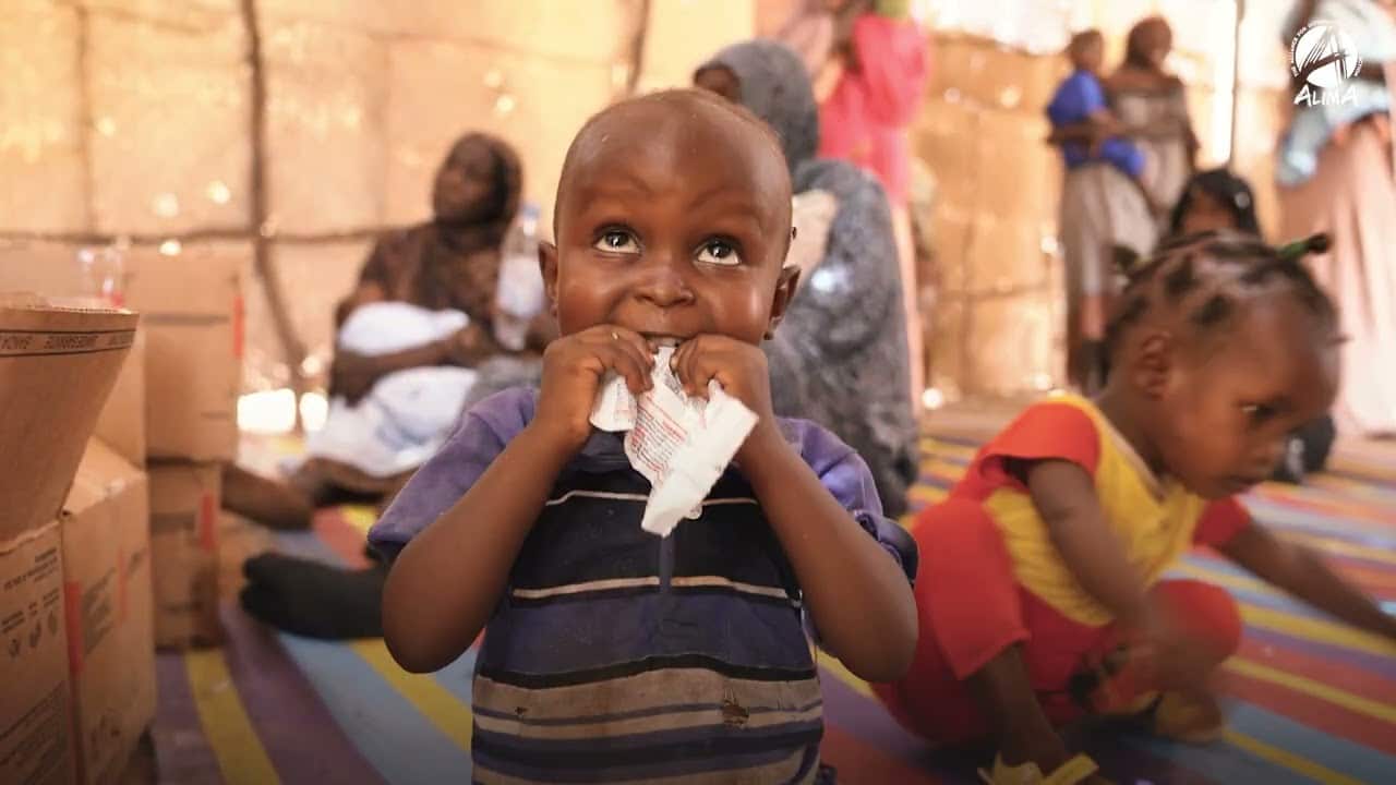 2025: Facing Crises, We Held Strong - ALIMA